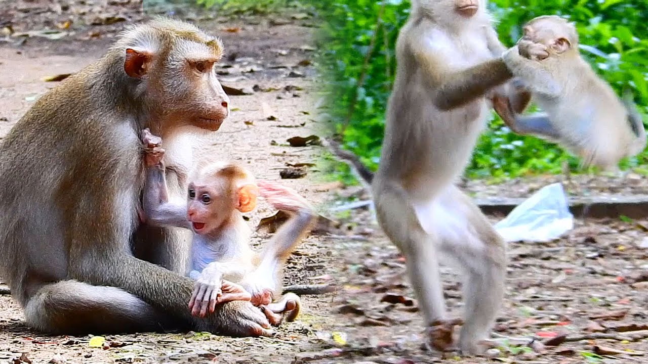 Very funny! Libby protect BB Lucie not wanna Rainbow hug Lucie - YouTube