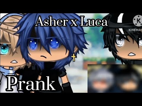 Asher prank Luca/nouvel personne?#Gacha life☆meme[BL] - YouTube