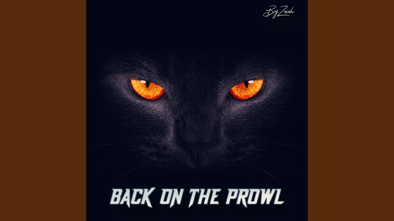 Back On The Prowl - YouTube
