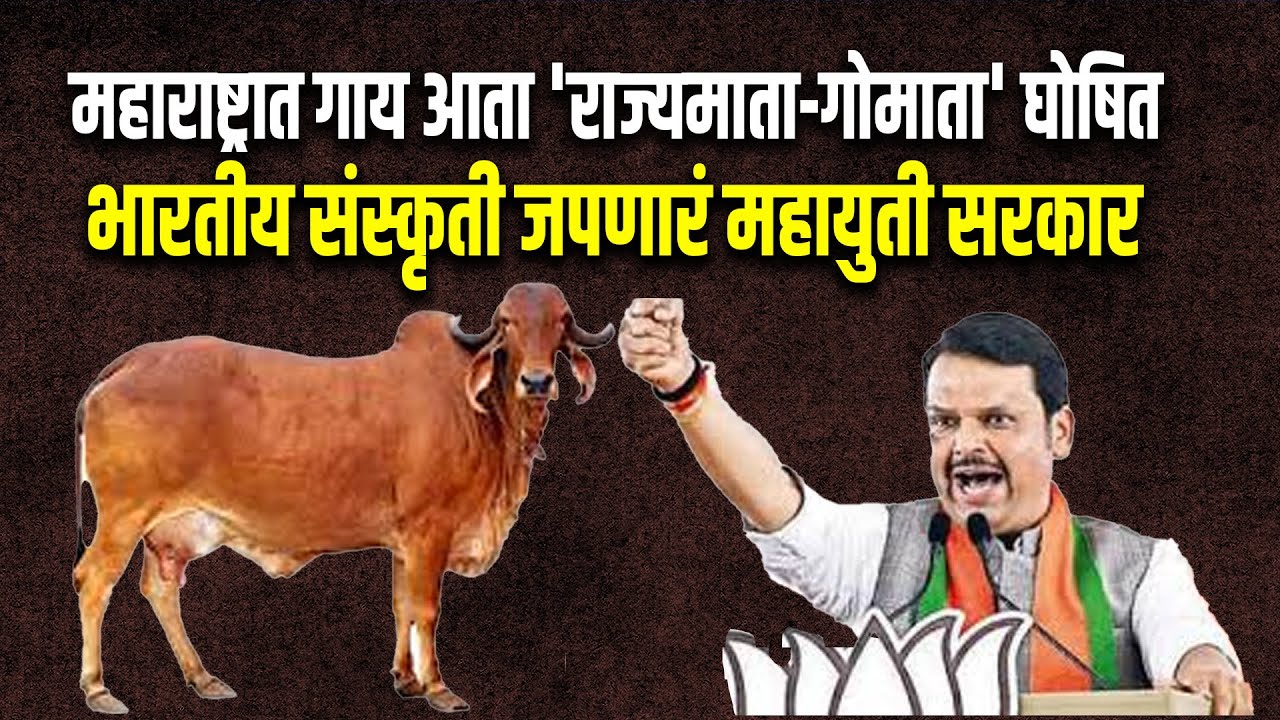 #Devabhau \देशी गायी 'राज्यमाता-गोमाता' ;घोषित महायुती सरकारचा निर्णय ...