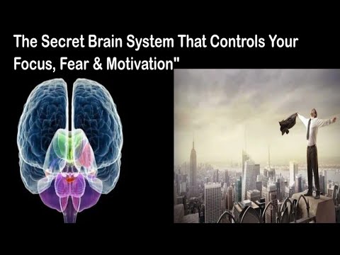 The Secret Brain System That Controls Your Focus, Fear & Motivation ...