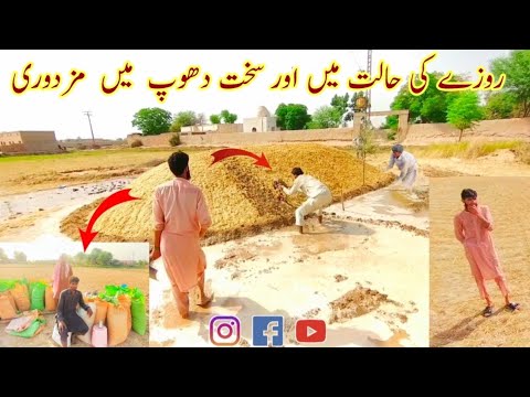 Village Life Our Bhosa Sakhat Dhop Mein Mazdori With Abid 248 - YouTube