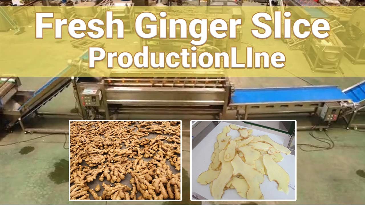 Automatic Ginger Washing Slicing Blanching Line-How to Make Fresh ...