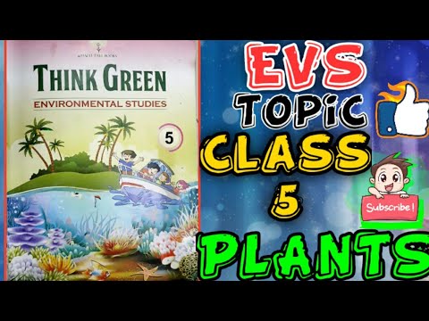 Plants Class-5 - YouTube