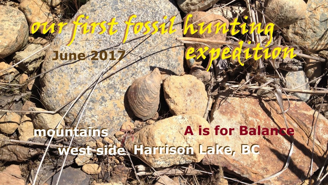 First fossil hunting expedition mountains west Harrison Lake June 2017 ...