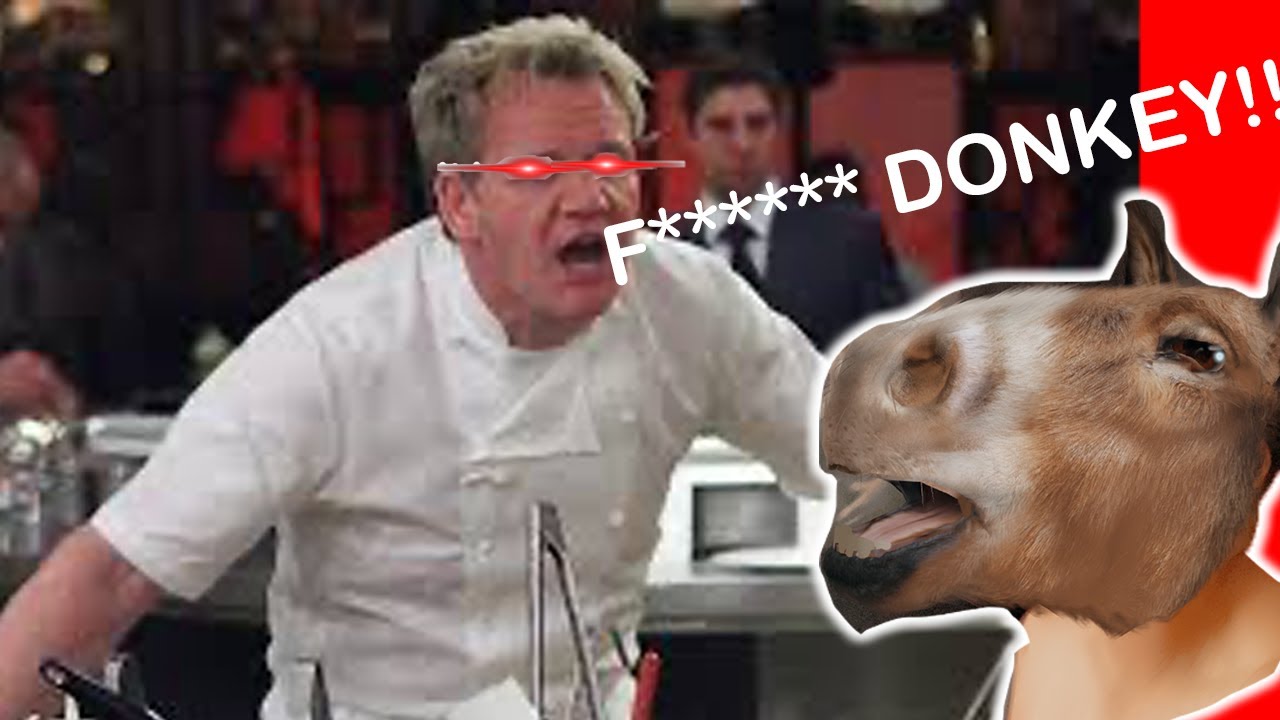 Donkey!!! Best of Gordon Ramsey!! - YouTube