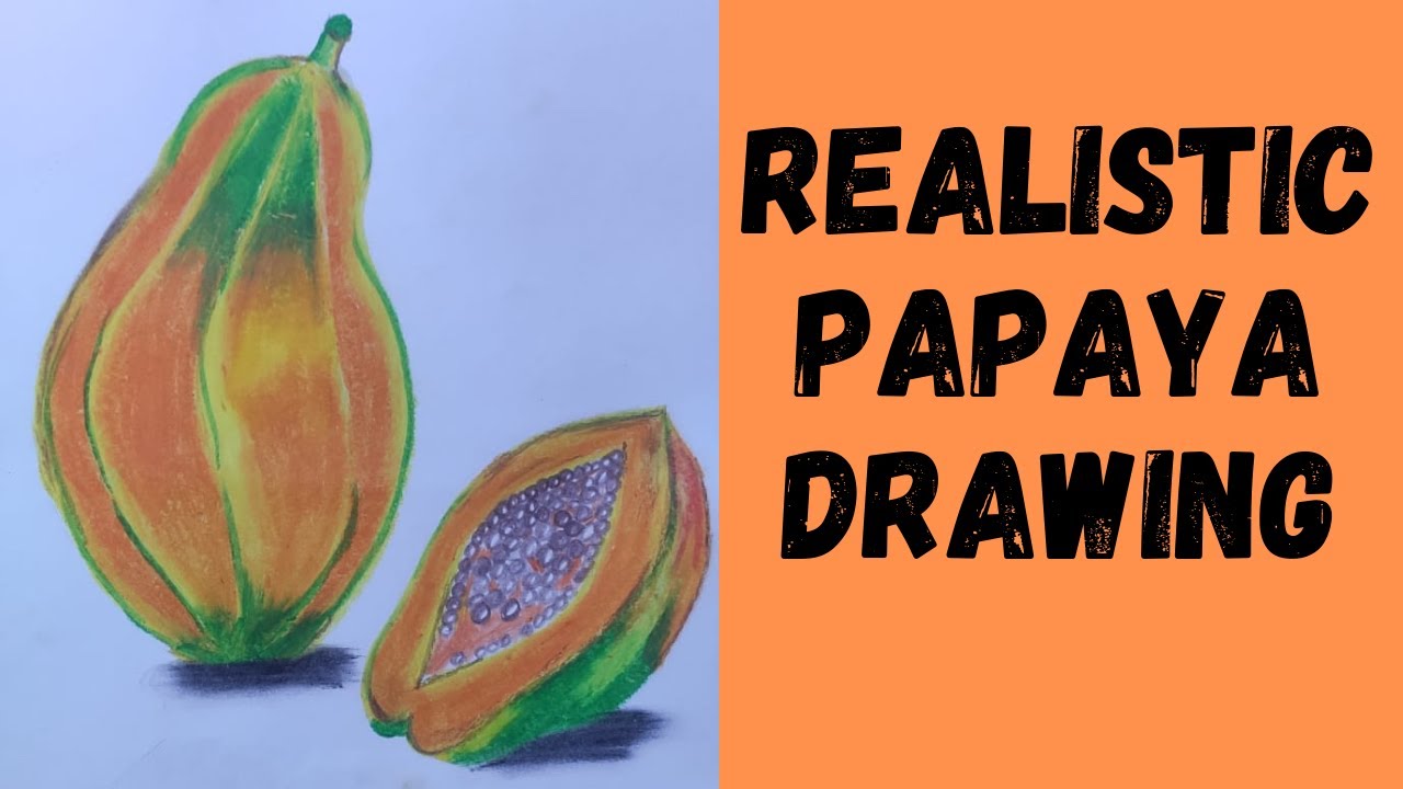 Realistic Papaya Drawing | How To Draw Papaya | Draw Realistic Papaya ...