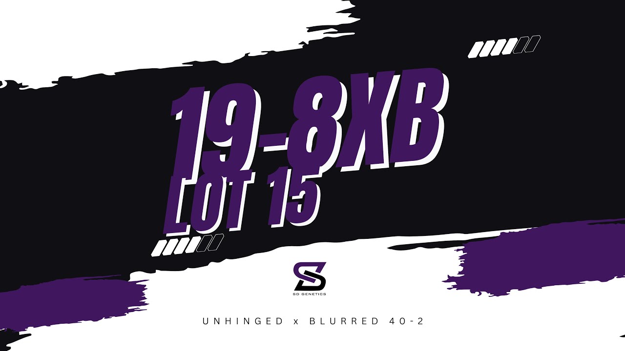 LOT 15 | 19-8XB - YouTube