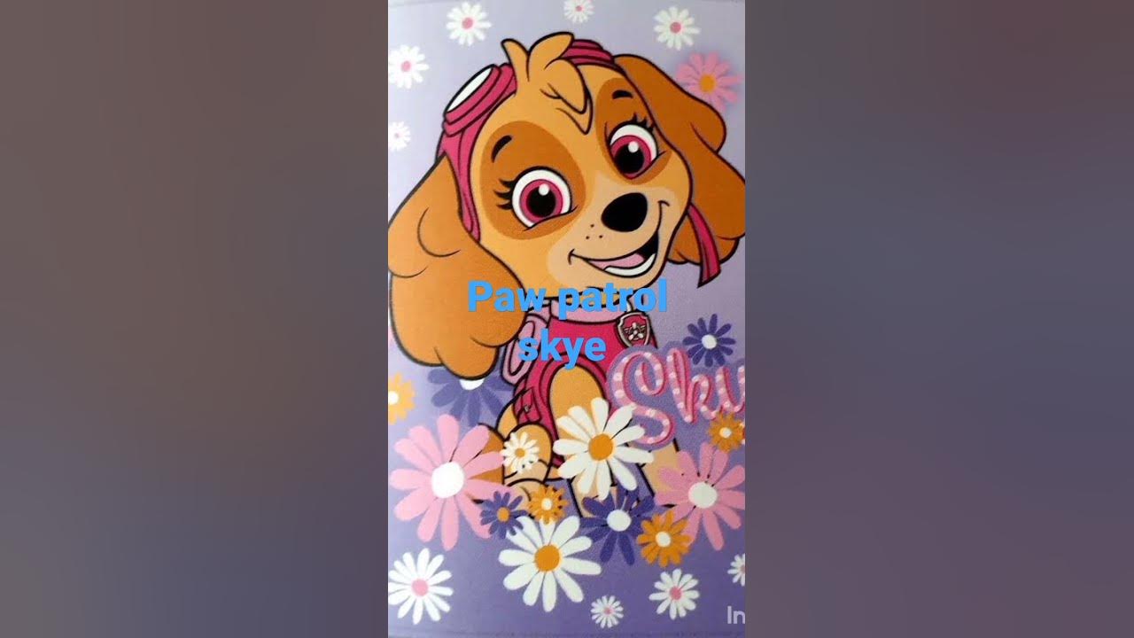 Paw Patrol Skye Youtube