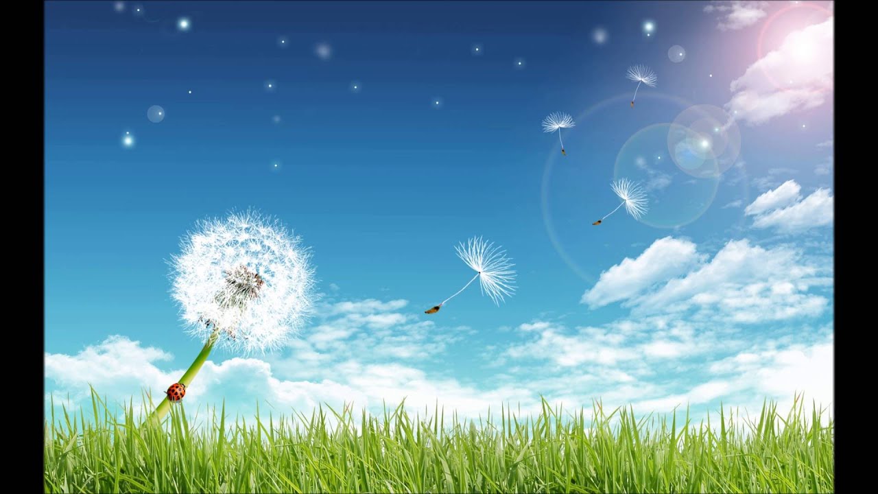 The best Relaxing music | music adjusts to the bright future - YouTube