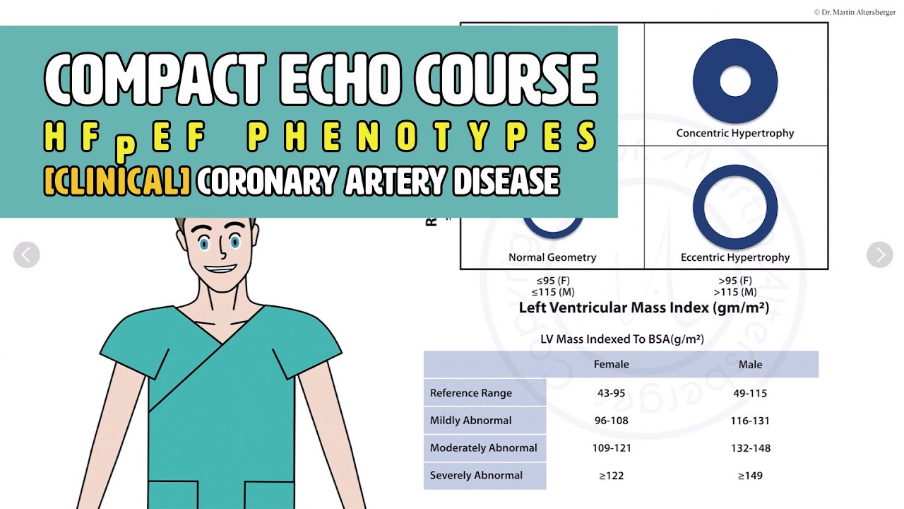 〖Echocardiography〗 Clinical phenotypes of HFpEF - coronary artery ...