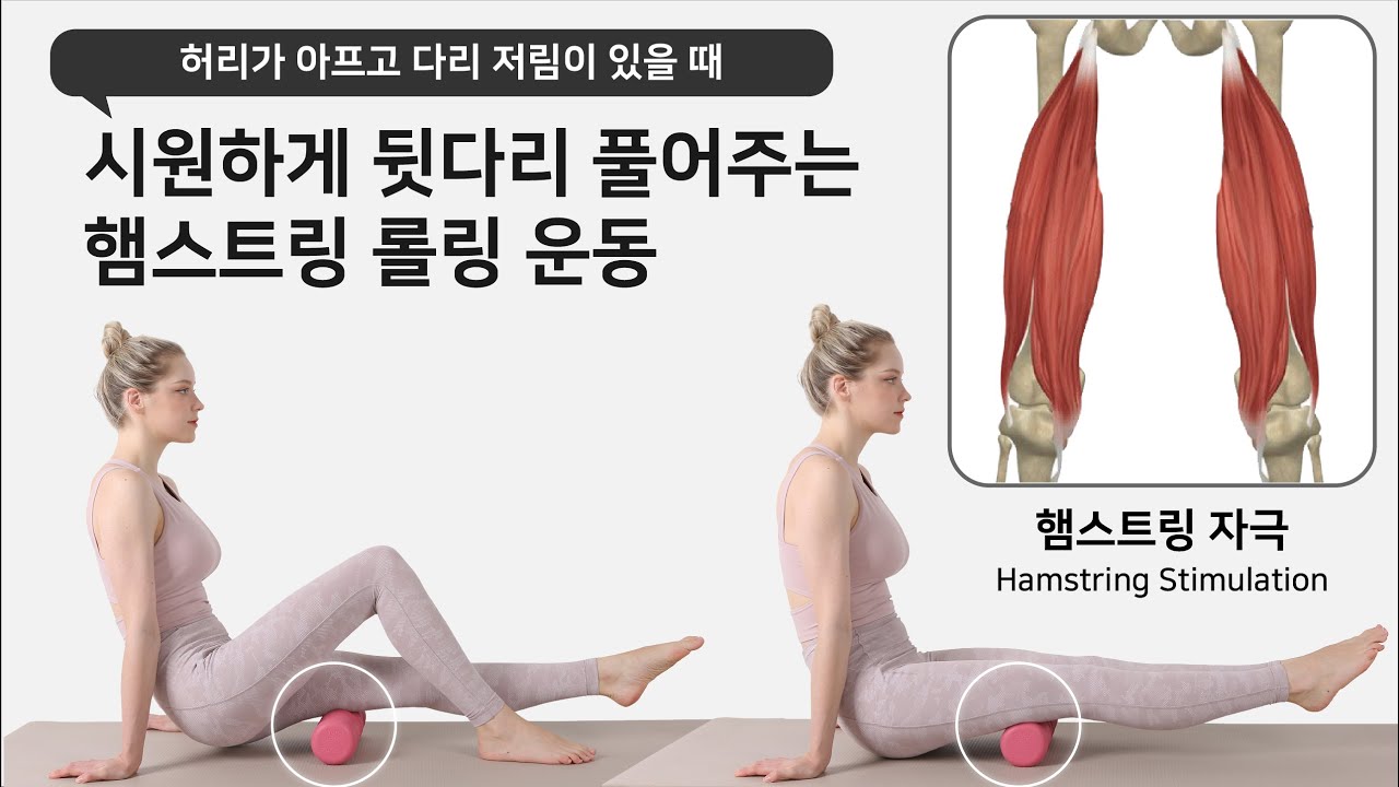 [ENG] 13. 시원하게 뒷다리 풀어주는 햄스트링 롤링 운동 Thigh hamstring acupressure exercise ...