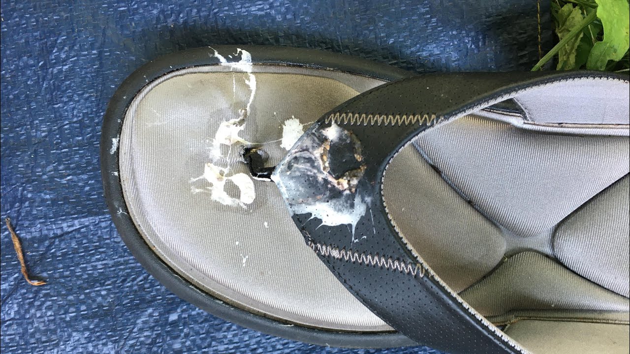 The Bird Shit Scam explained - YouTube