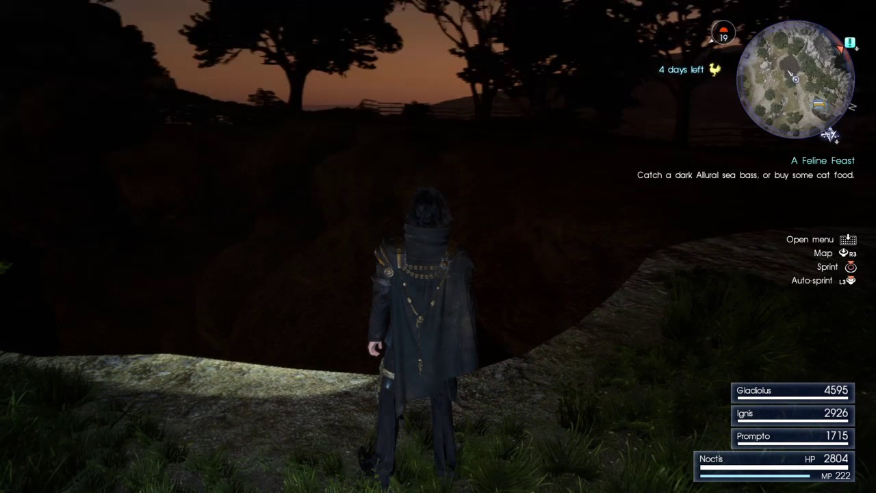 FINAL FANTASY XV Cape Caem Garden glitch - YouTube