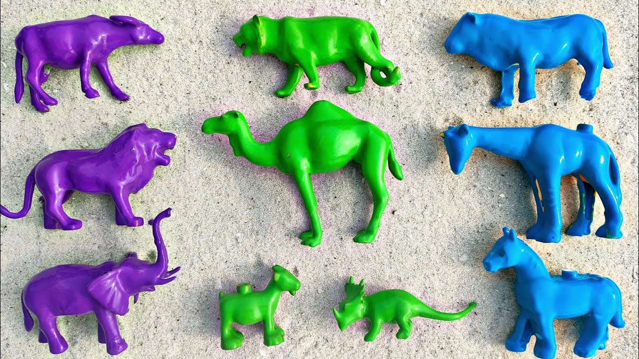 Membersihkan hewan herbivora kuda monster singa k3rbau kambing ...