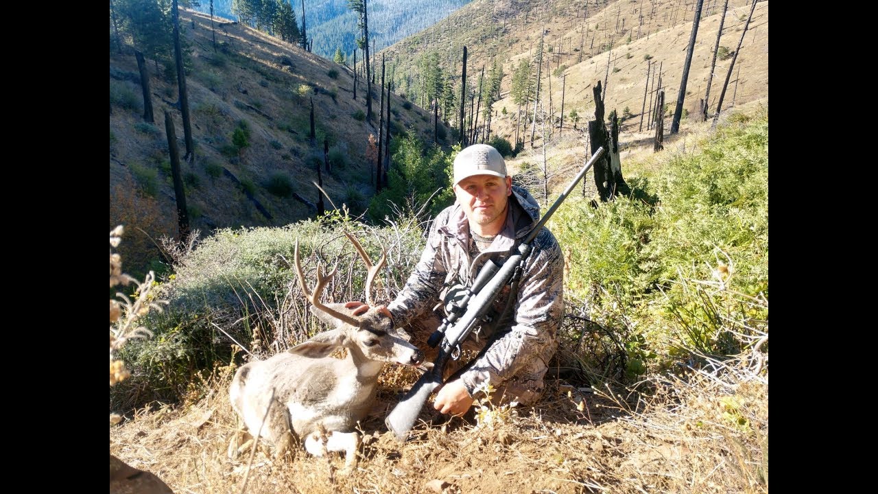 California B-zone deer hunt on public land - YouTube
