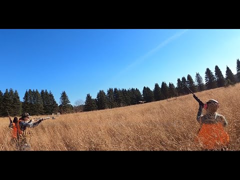 Michigan Pheasant Hunt 2022 Black Friday Hunt Crooked Foot Hunt Club ...