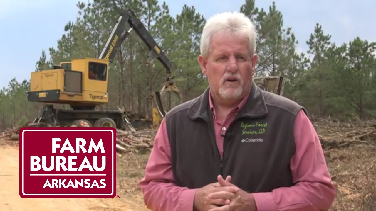 Arkansas Forestry Update | Grant Pace, ArFB Forestry Division Chair ...