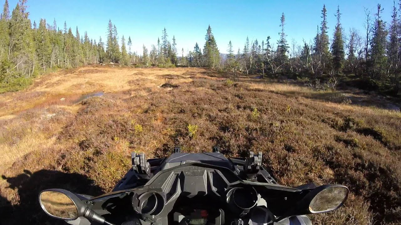 Can-am 650 max with apache 360 moose #3 - YouTube