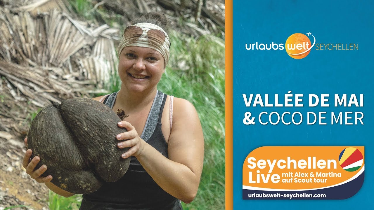 Zauberhaftes Vallée de Mai & Coco de Mer, Seychellen - YouTube