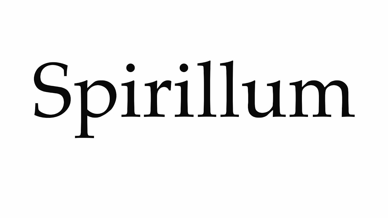 How to Pronounce Spirillum - YouTube
