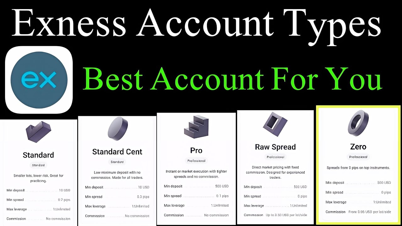 Exness Types of Accounts Explained in 2026 | Standard, Pro, Raw & Zero ...