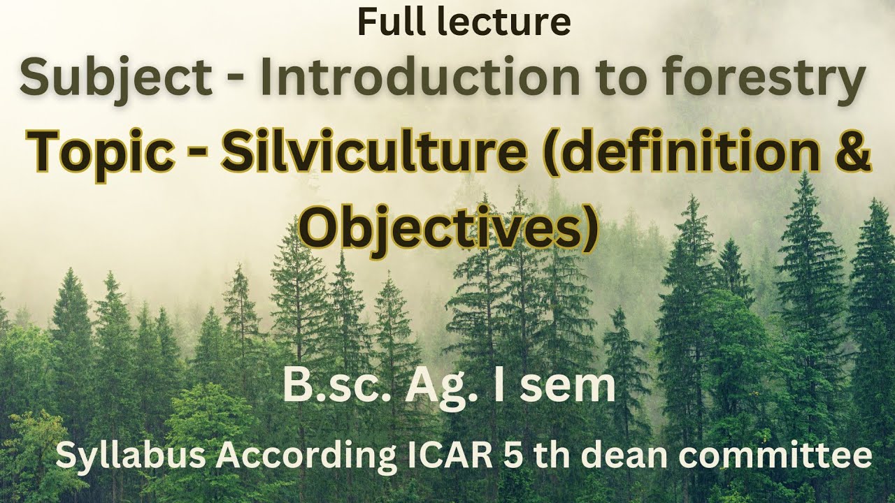Silviculture bsc ag | Introduction to Forestry | Silviculture ...
