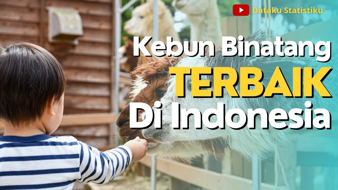 Kebun Binatang Terbaik Yang Ada di Indonesia | The Best Zoo in ...