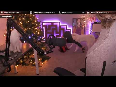 AlinityDivine