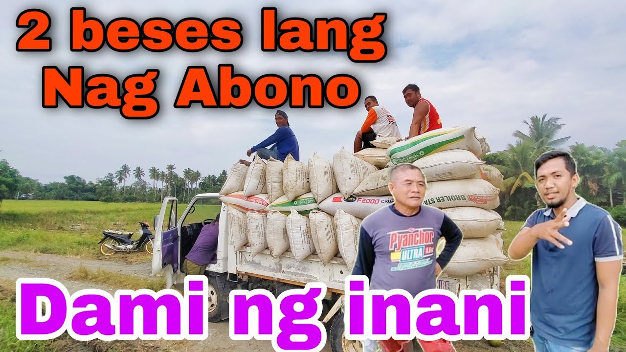 Sekreto para sa Maraming Ani | Fertilizer Application | Kubota DC70 ...