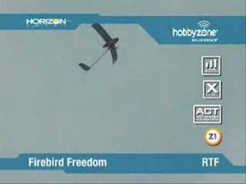 Firebird Freedom RC plane - YouTube
