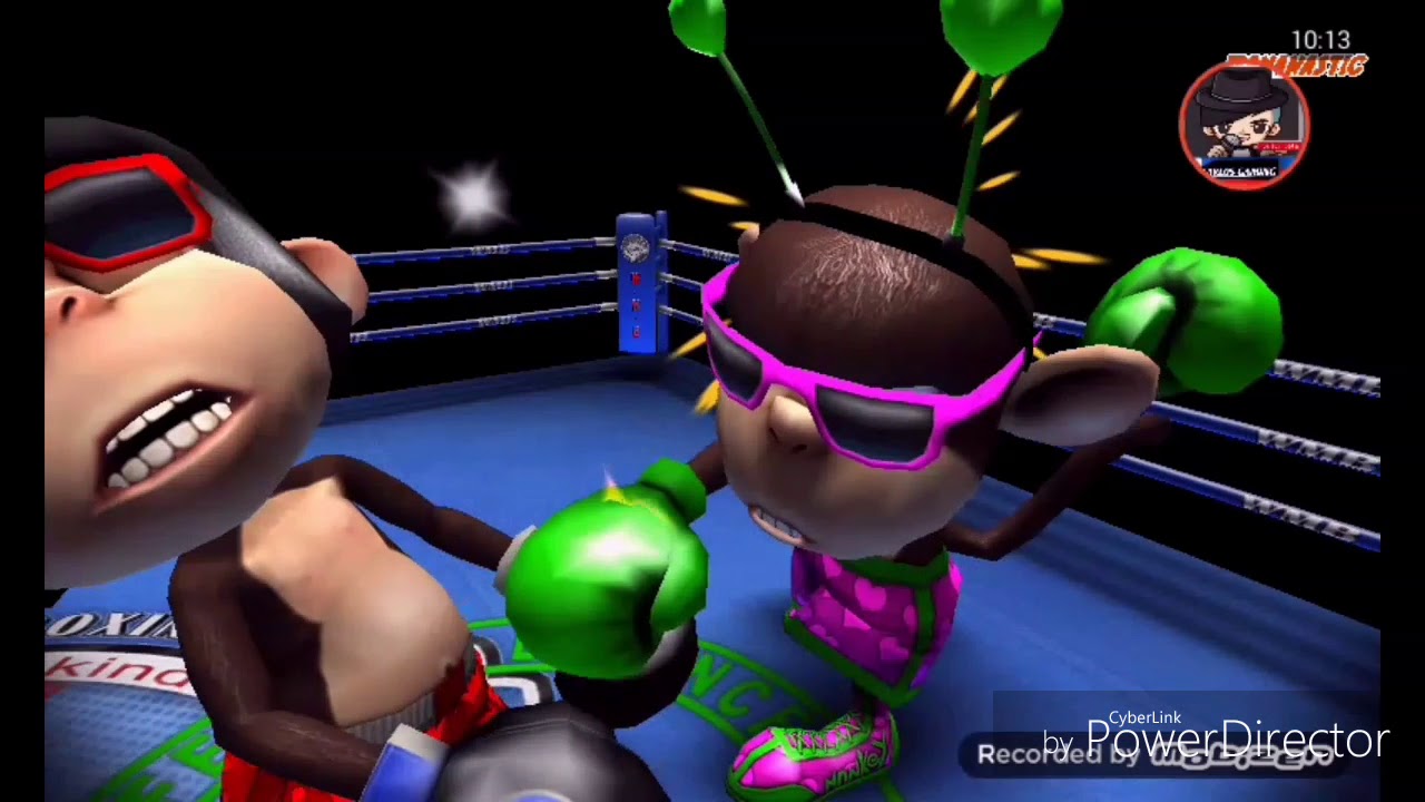 Monkey boxing - YouTube