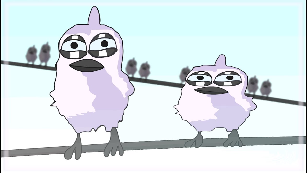 Two birds on a wire. | Animated - YouTube