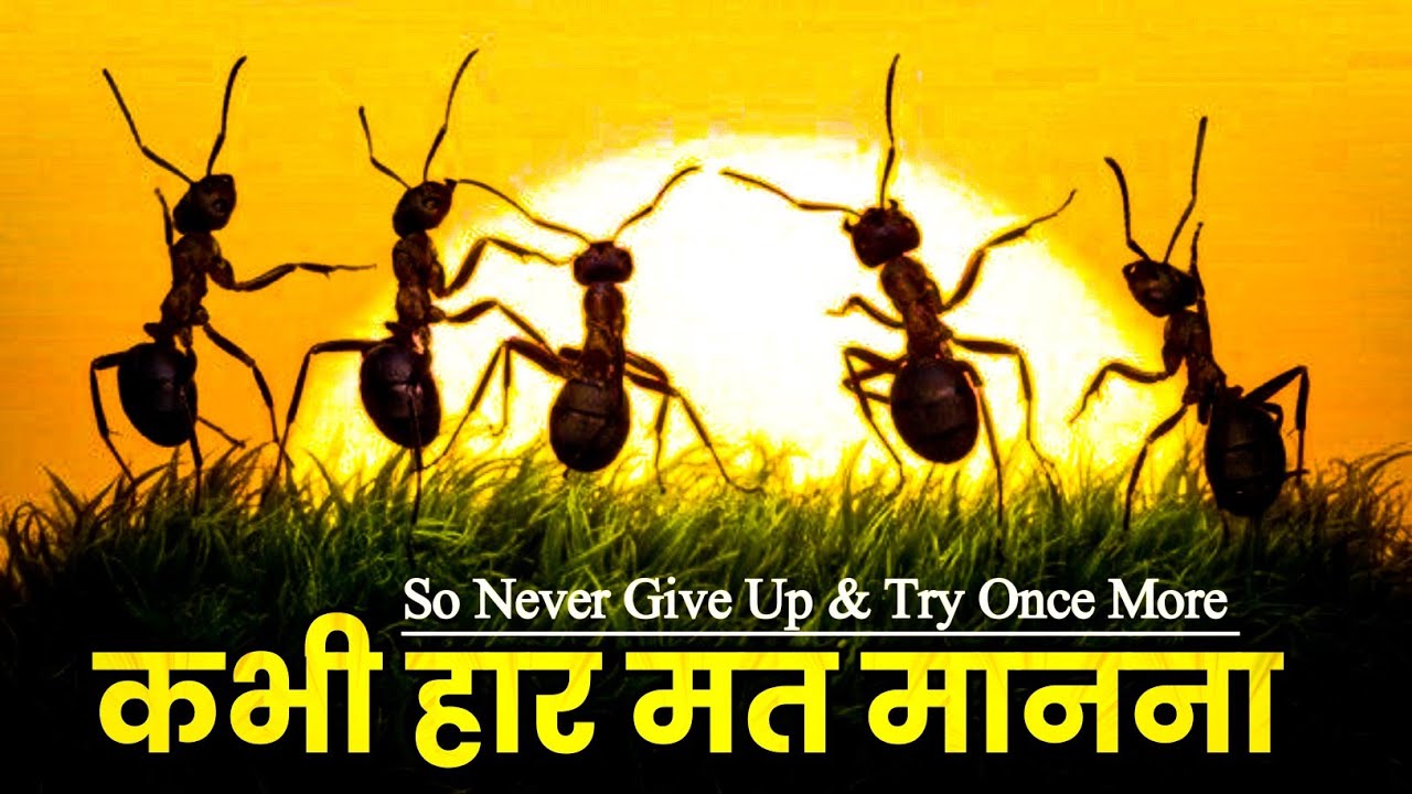 Ants Never Give Up motivation 🤏 - Amazing Powerful Motivational Video ...