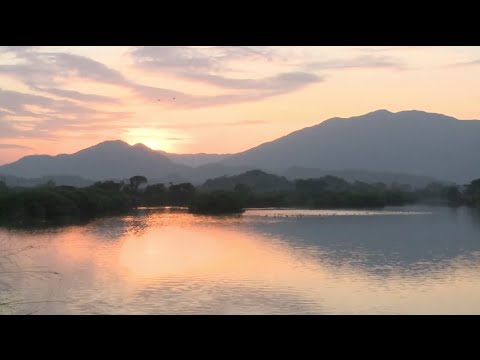 Mai Po Nature Reserve Hong Kong - YouTube