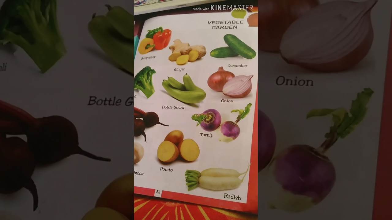 TOPIC - "Vegetable garden" - YouTube