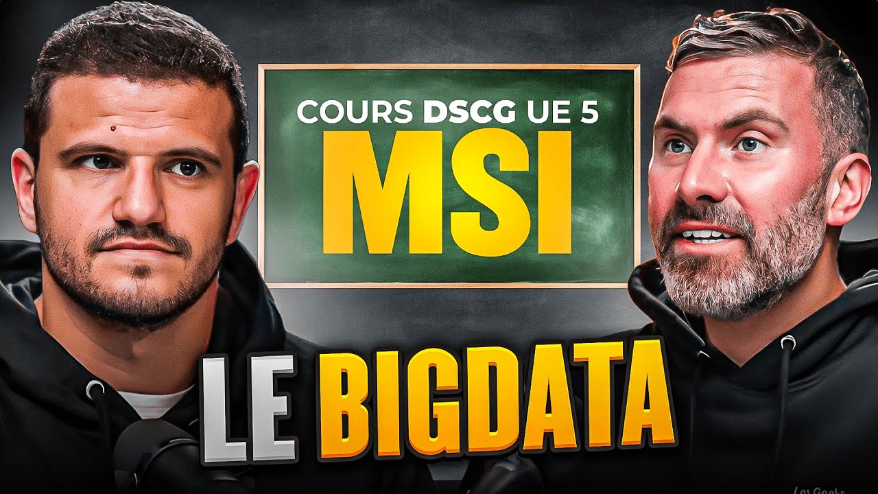Cours DSCG UE5 MSI : Le management stratégique des données (Big Data ...