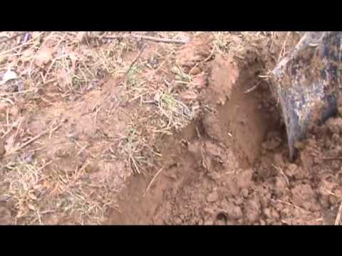 Digging for Arrowheads Before the Storm - YouTube