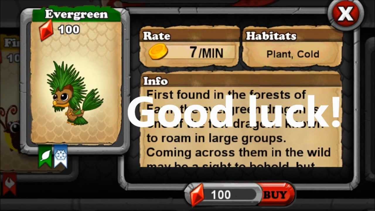 How to breed an Evergreen dragon in Dragonvale! - YouTube