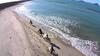 海へ　El Patio Ranch at Karatsu