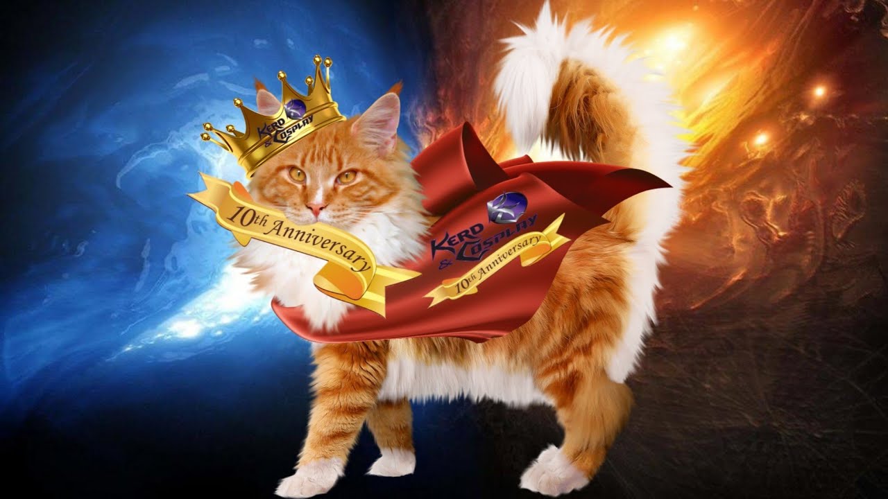 An introduction to Za Grand Cat YouTube channel, Discord server and ...