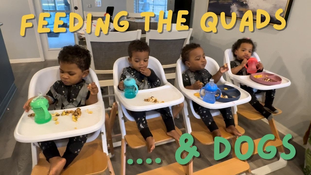 DAY IN THE LIFE: FEEDING THE QUADS - YouTube