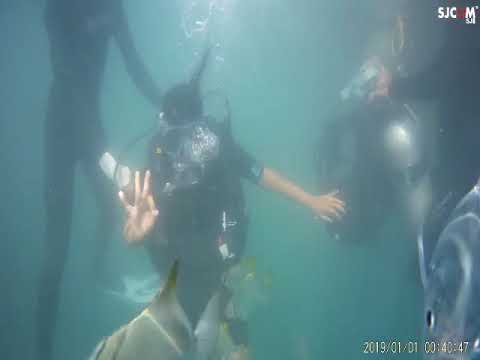 First scuba diving I was so scared n so much confused