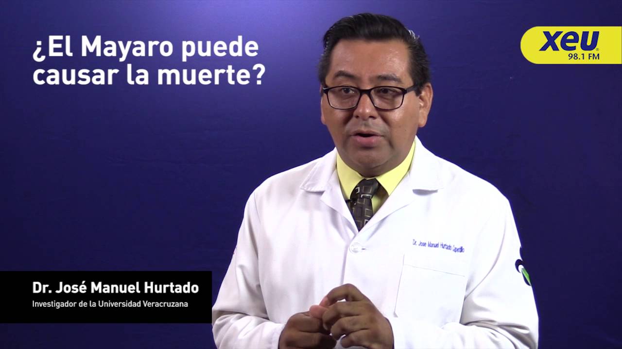 ¿Qué es el virus mayaro y cómo prevenirlo? - YouTube