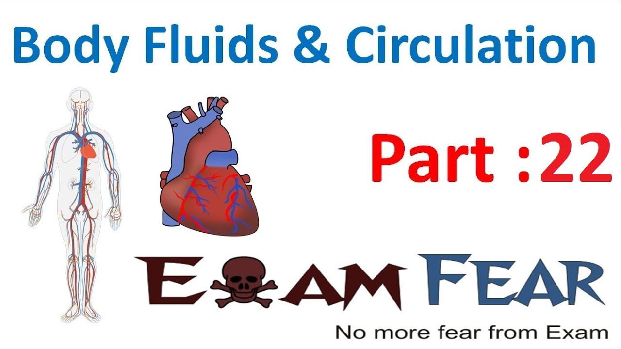 Biology Body Fluids & Circulation part 22 (Conclusion, Circulatory ...