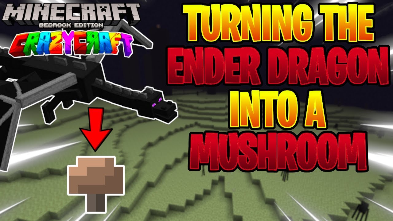 Craicne Minecraft Ender Dragon Xbox