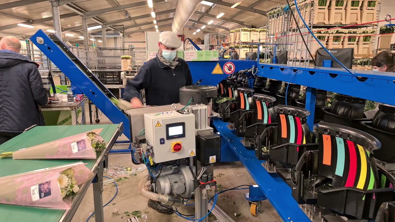 Sleeving machine for bouquets - YouTube