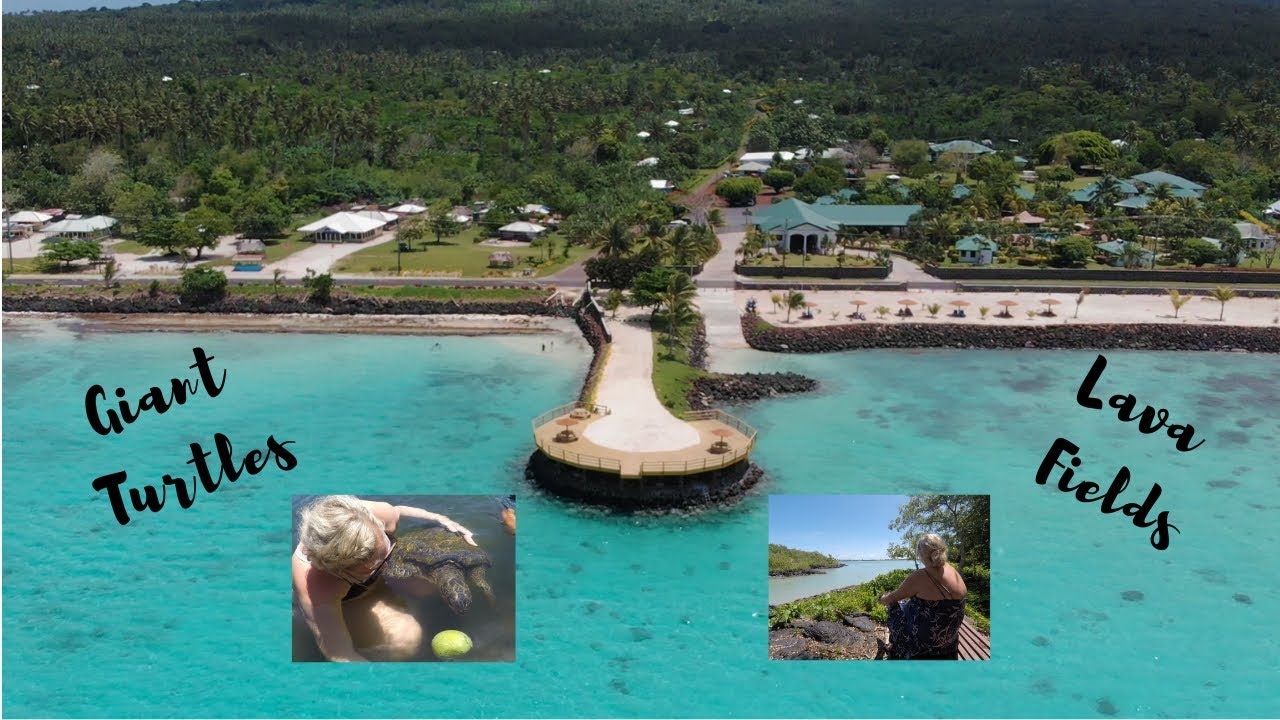 SWIMMING WITH GIANT TURTLES ][ TRAVEL VLOG ][ SAVAI'I SAMOA - LAVA ...