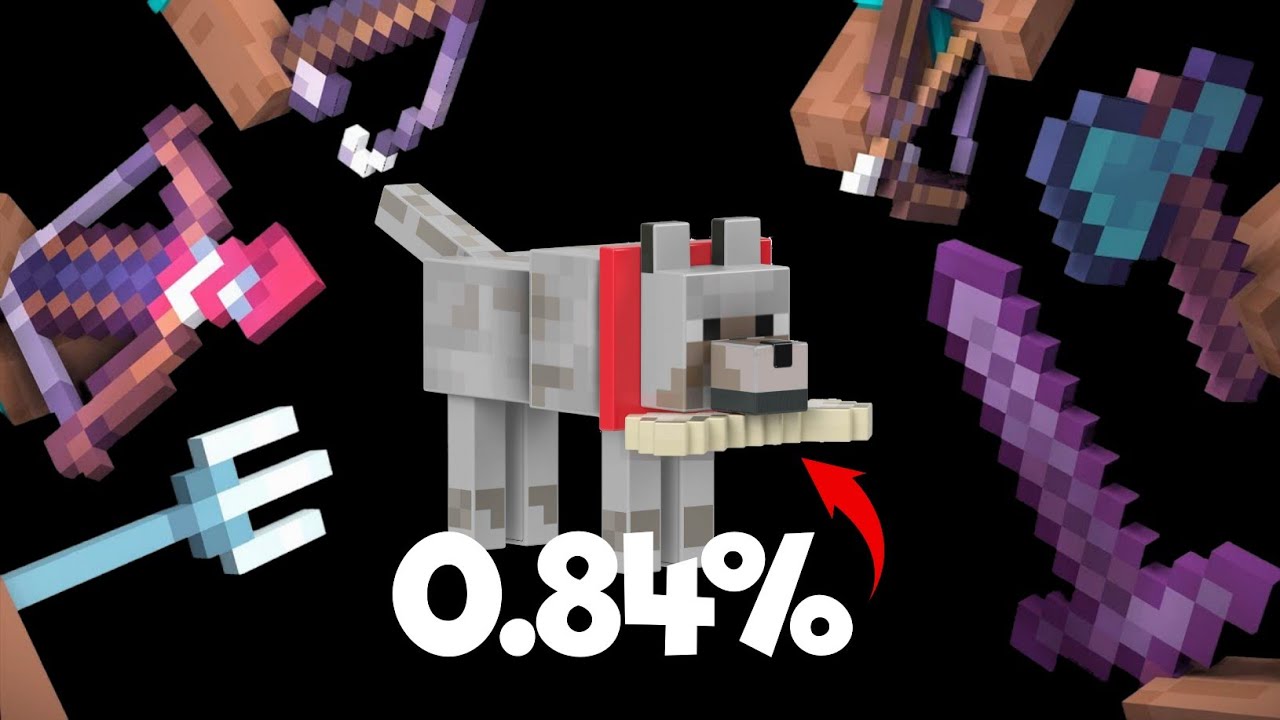 How I Lose My Dog In This Minecraft Smp | Minecraft Mystery - YouTube