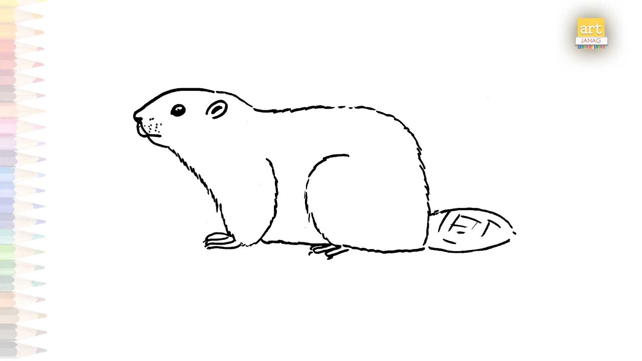 Little Beaver drawings | Drawing tutorials easy | How to draw Beaver ...
